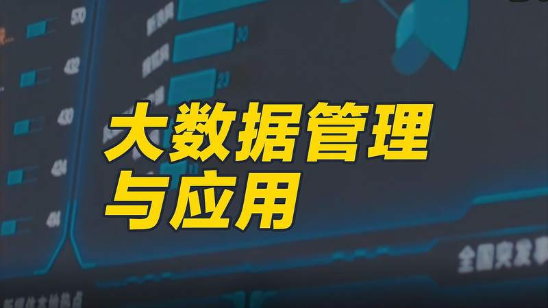 大数据管理与应用:引领时代,构建未来