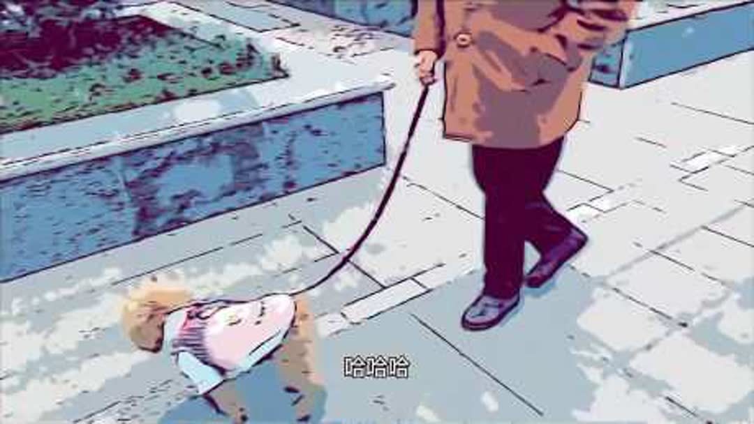 动画生活,我上办的地方