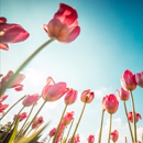 麻辣少女鱼小小 