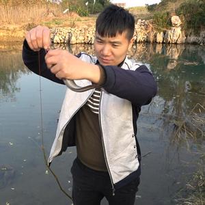 农村阿辉 