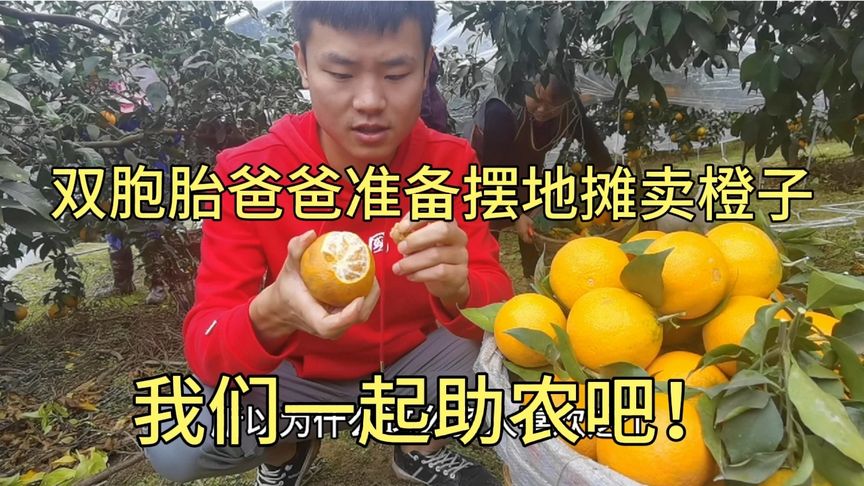 双胞胎爸爸准备摆地摊卖橙子,帮家乡做宣传,我们一起助农吧!