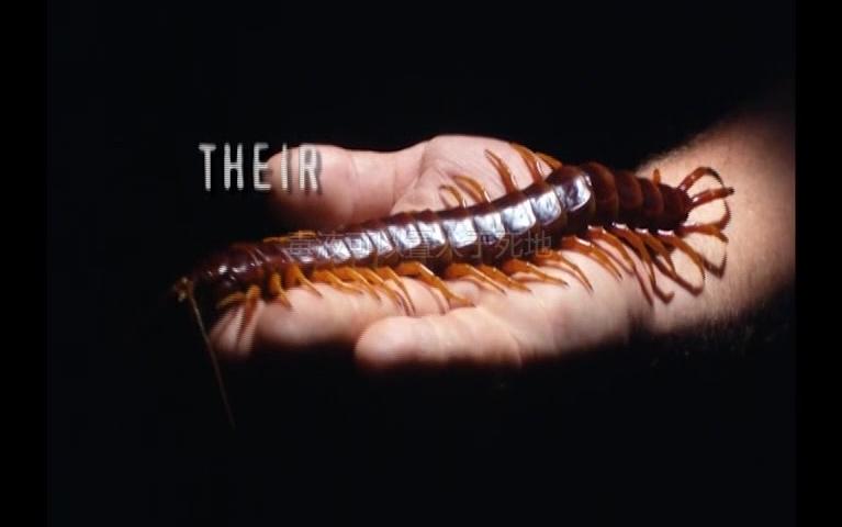 【怪兽档案】第二季精彩预告