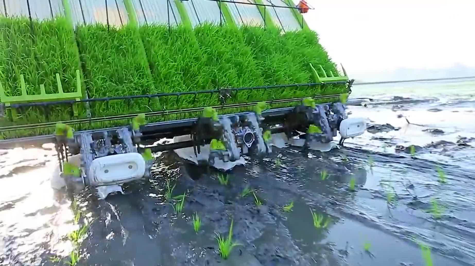 科技在农业上的应用,刷新着我们的三观,它已渐渐代替农民的双手