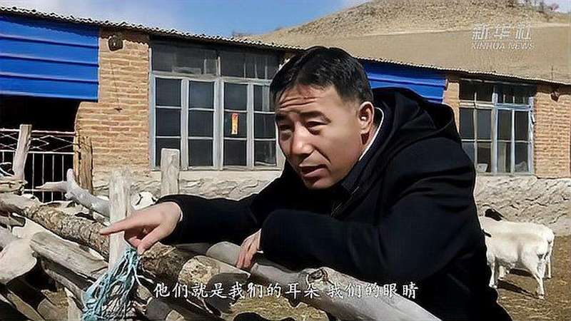 代表委员数说家乡丨近两年零火情!这里的森林草原全方位网格化管理!