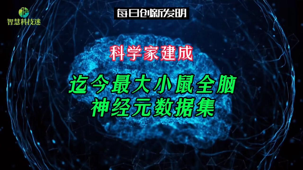 点赞南京东南大学等!科学家建成迄今最大小鼠全脑神经元数据集