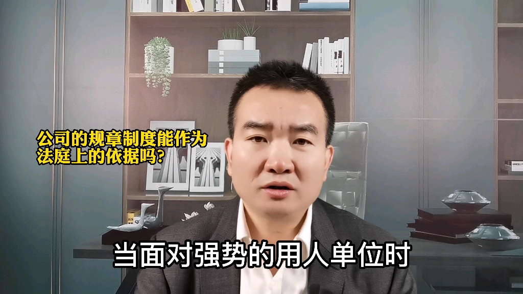 公司的规章制度能作为法庭上的依据吗#劳动仲裁#劳动纠纷