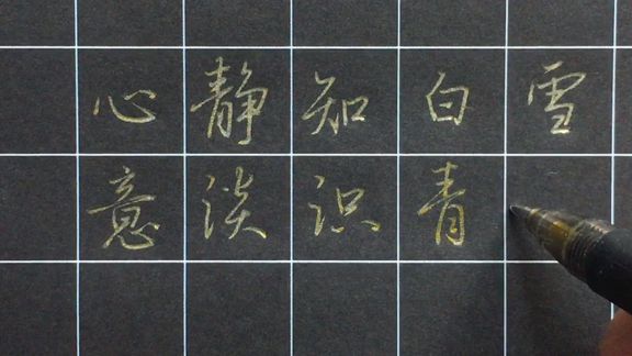 硬笔行书欣赏:心静知白雪,意淡识青松