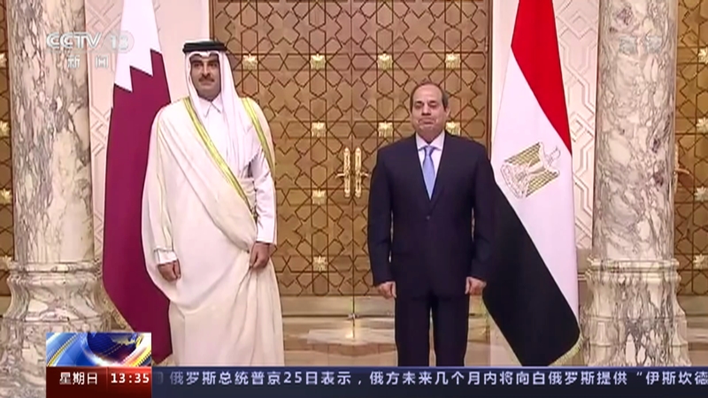[新闻直播间]埃及 埃及总统会见卡塔尔埃米尔 深化两国合作