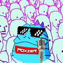 狐Foxser 