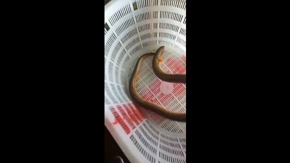 有识货的朋友吗