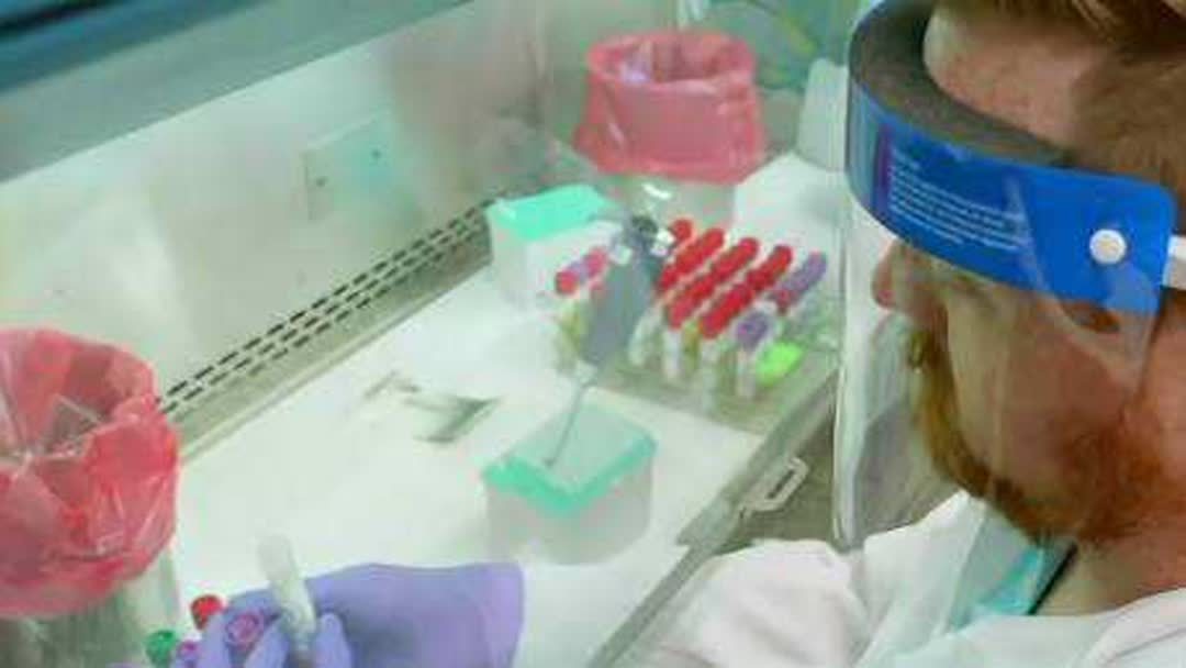 世卫组织:新冠病毒没被实验室蓄意使用