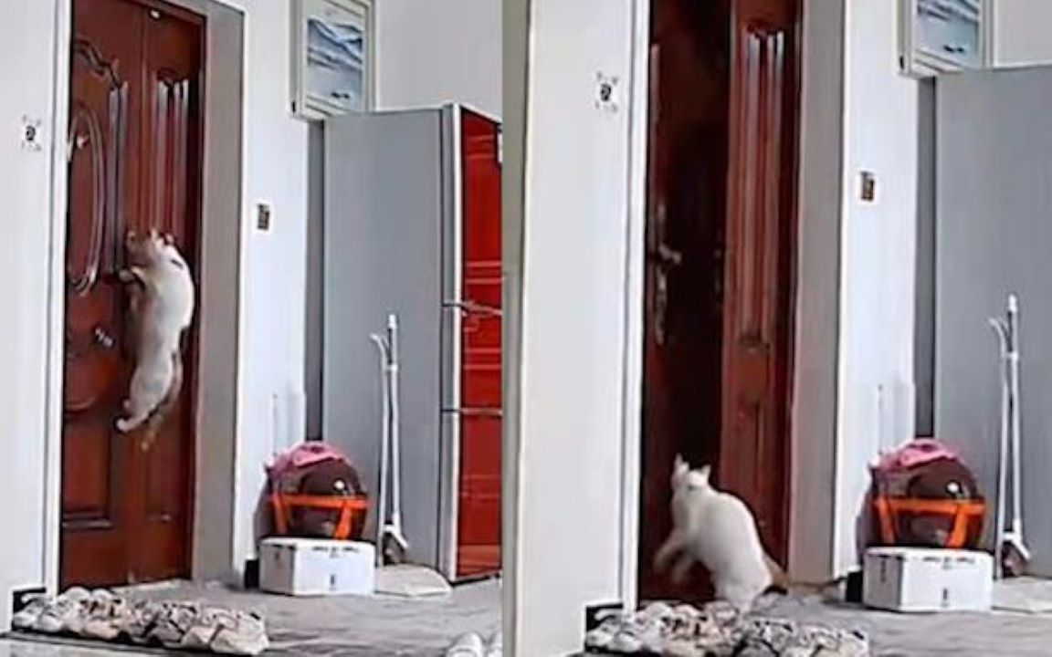 女子拿错钥匙被锁门外,不料10分钟后门自动开了,随后一幕意外了