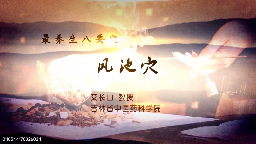 最养生八要穴:风池穴