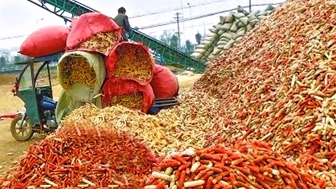 中国吃剩的“垃圾”,在韩国却成了难得的美食,还供应不求!