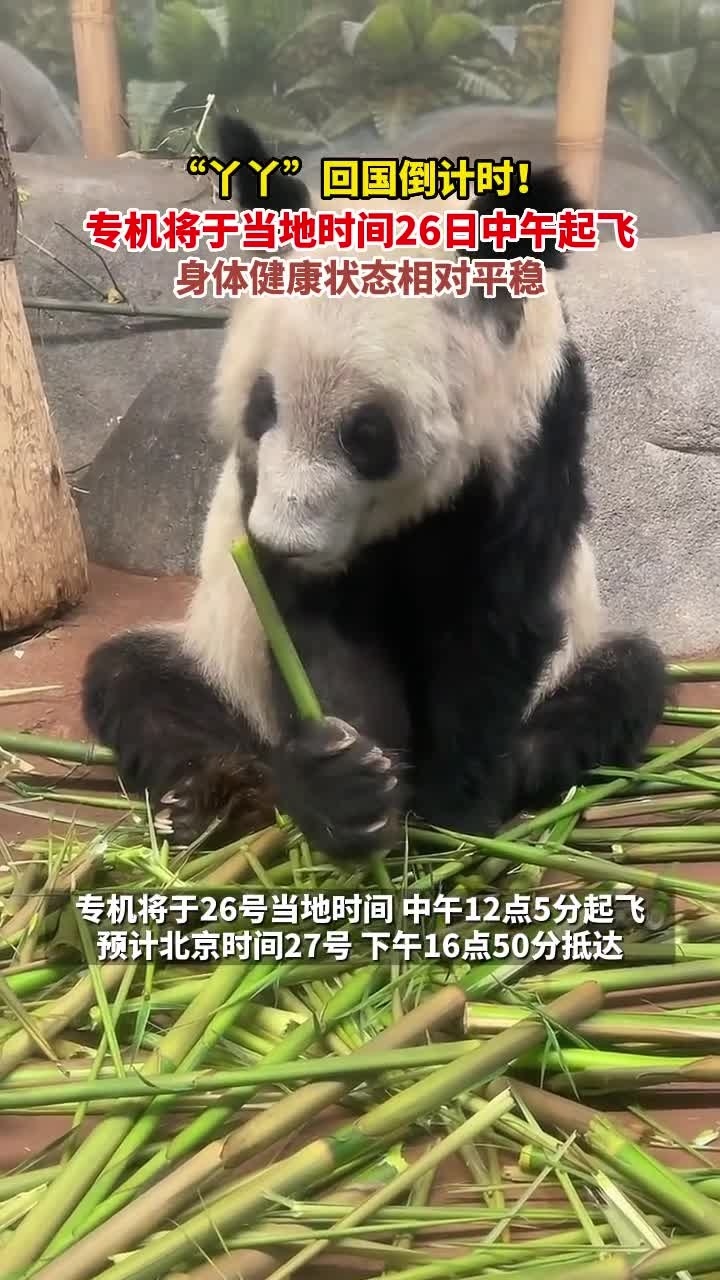 ...专机将于当地时间26日中午起飞,预计北京时间27号下午16点50分...