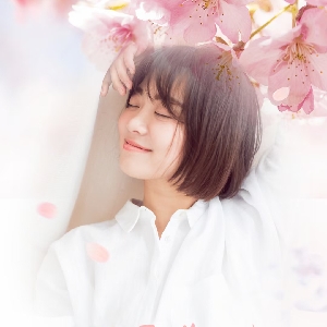 小程序开发13392350773 