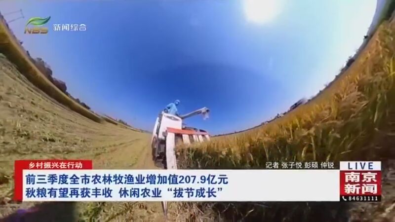 [直播南京]前三季度全市农林牧渔业增加值207.9亿元 秋粮有望再获...