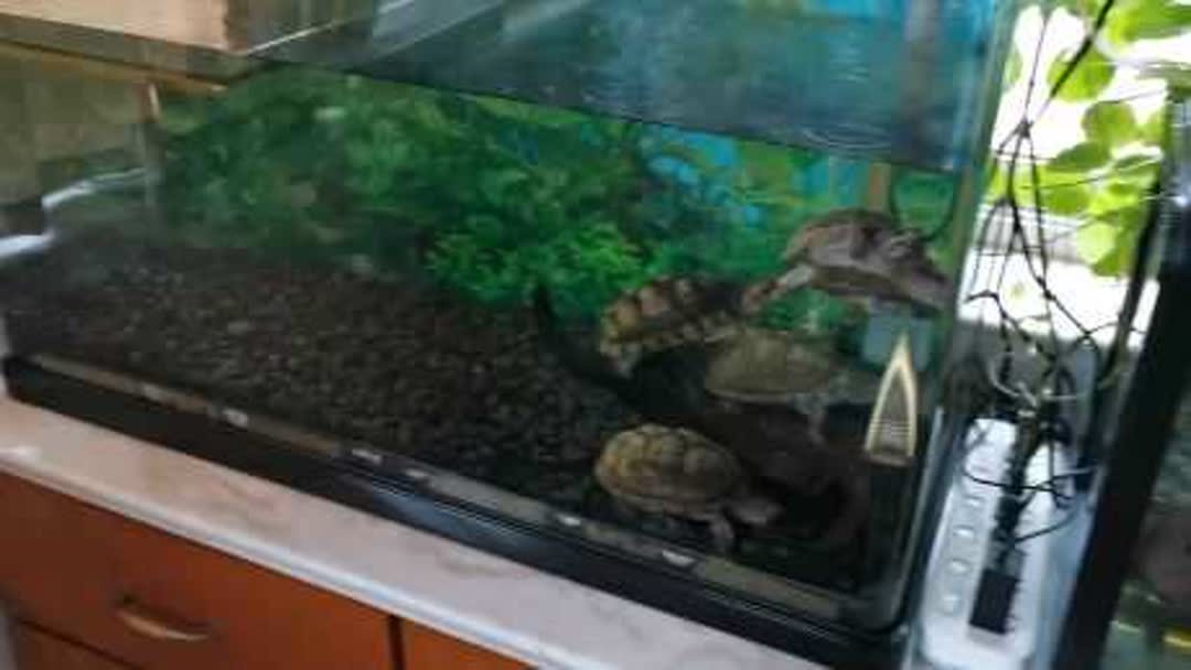 过滤怎么养才能充分发挥过滤的作用和效果,给大家推荐最简单方式