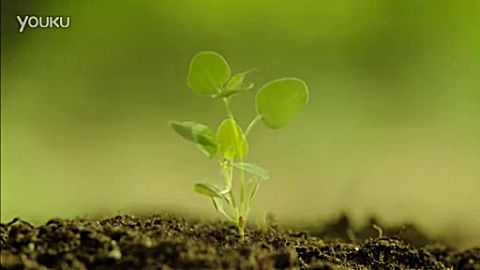 教育部学前教育宣传月宣传短片2