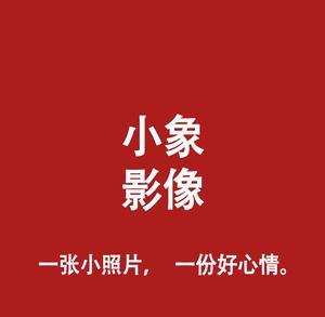 东营小象 