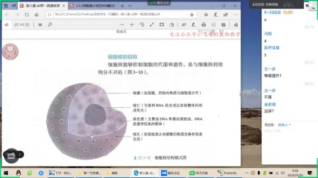 9.20高一生物
