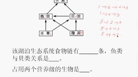 0011.高三生物11 生态系统的结构和能量流动