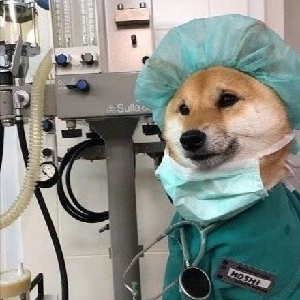 非正常的小王 