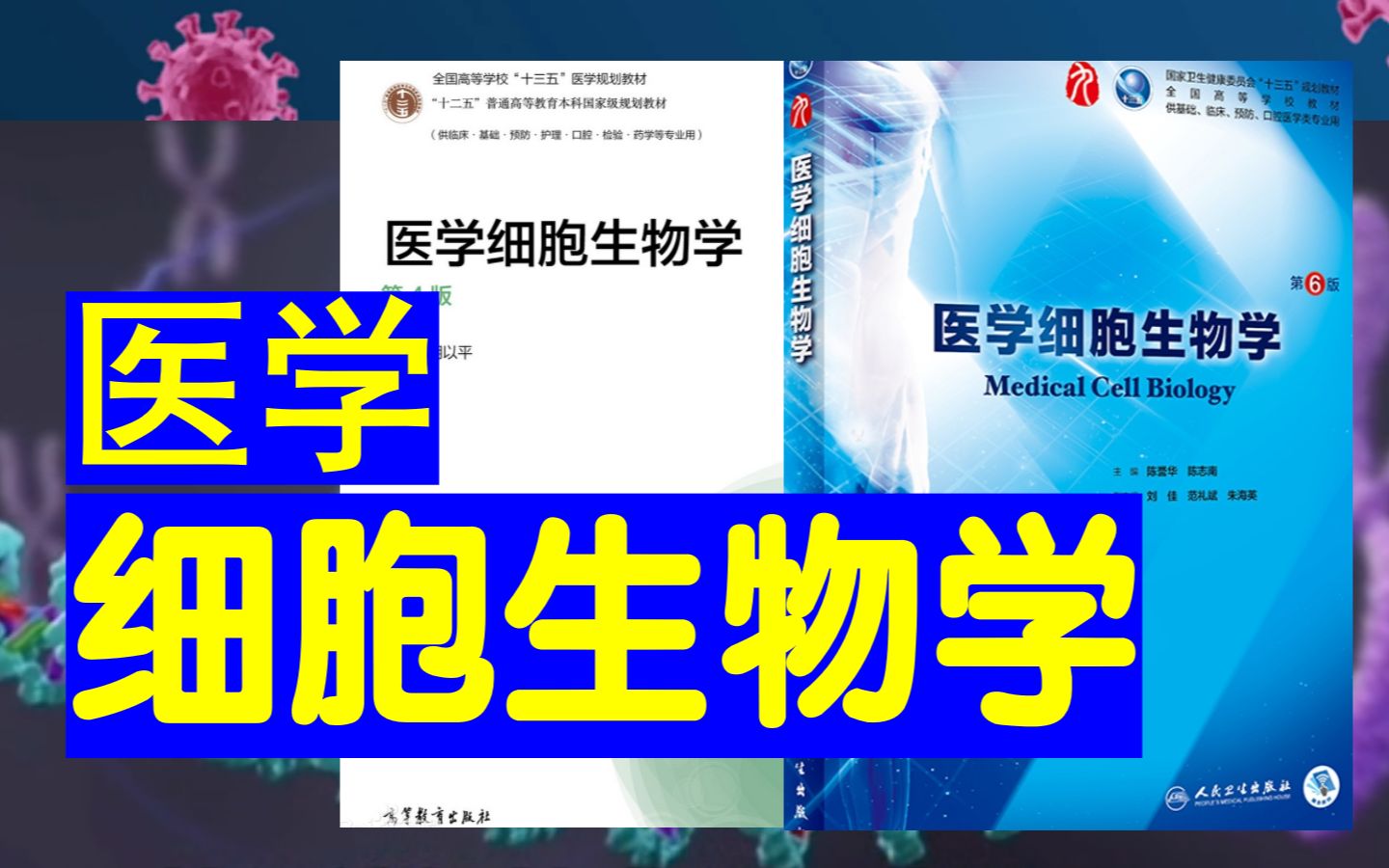 医学细胞生物学6.2线粒体功能 (2 氧化磷酸化)中英字幕