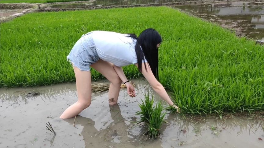 湖北女孩一口气几亩秧田栽完,热汗回家做饭,能有个男友分担多好