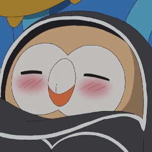 Shibaです 