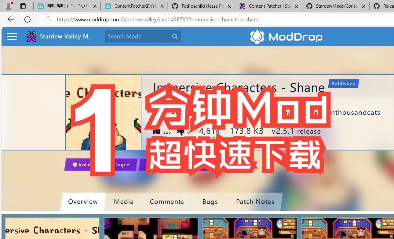 家人们! 这个Mod网站下载好快啊 !_单机游戏热门视频