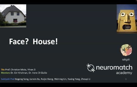 [NMA project] 为什么我们能分辨物体?浅尝人脸和房子的视觉编码
