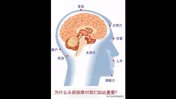 为什么头部按摩对我们如此重要?按摩头部有什么作用?