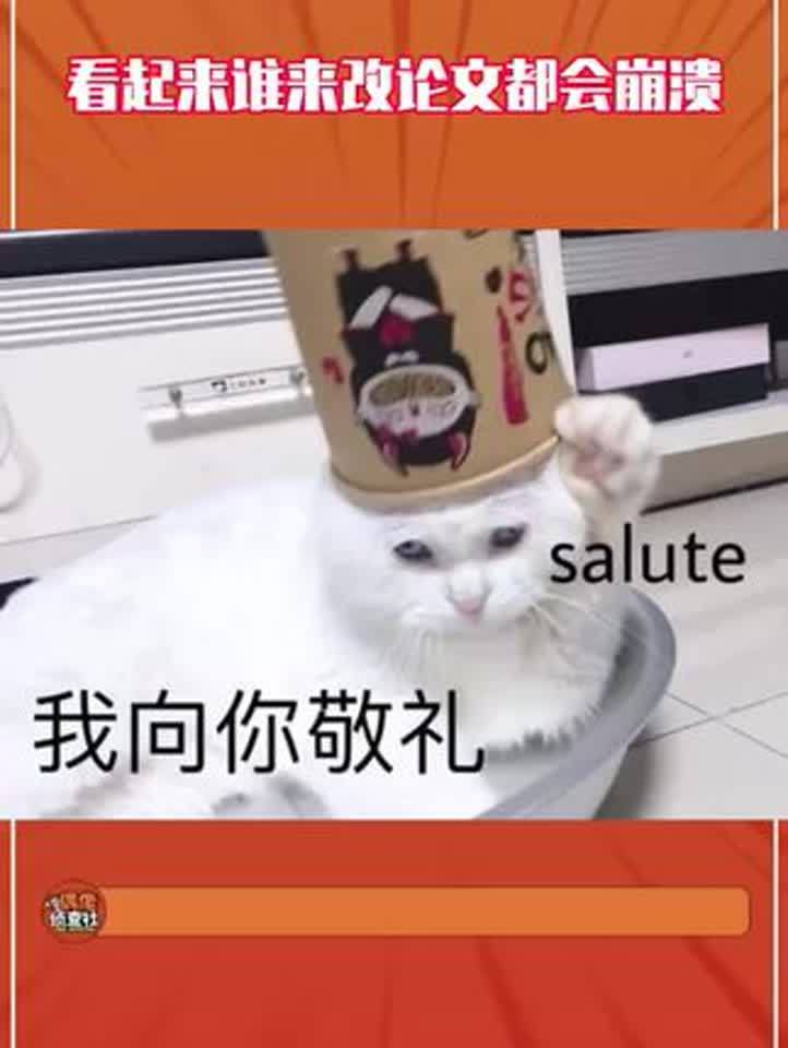 导师:谁来救救我呢#搞笑 #娱乐评论大赏 #内容过于真实 #导师 #毕业...