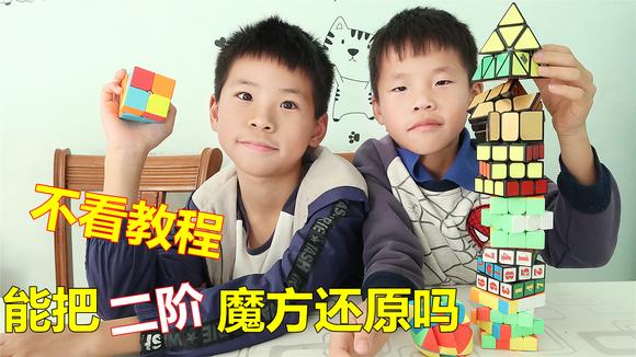 会拼三阶四阶魔方的小男孩,不看教程,能否还原最简单的二阶魔方