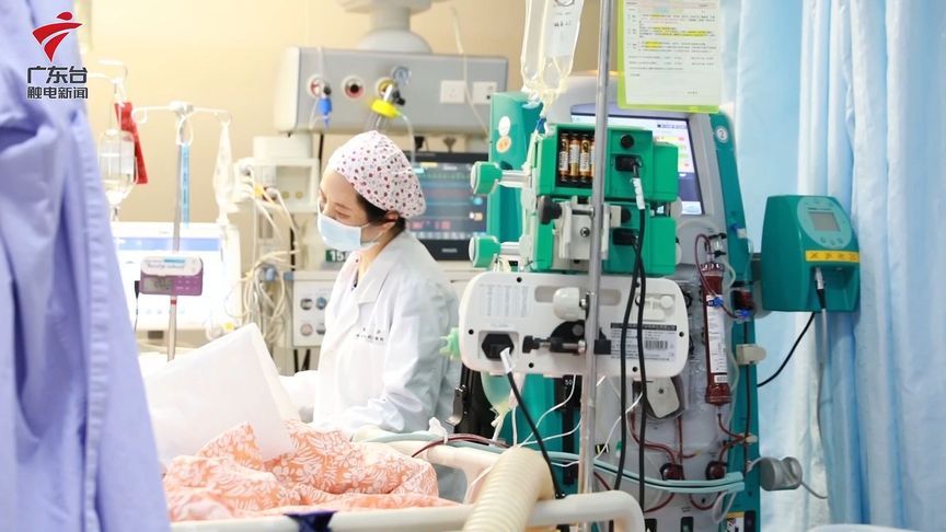 以另一种方式绽放!缅怀器官捐献者:大爱无私,感谢有你