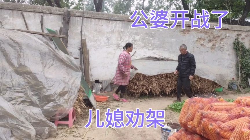 实拍:公婆吵架,老两口真有意思,翻脸比翻书都快,儿媳狂笑不止