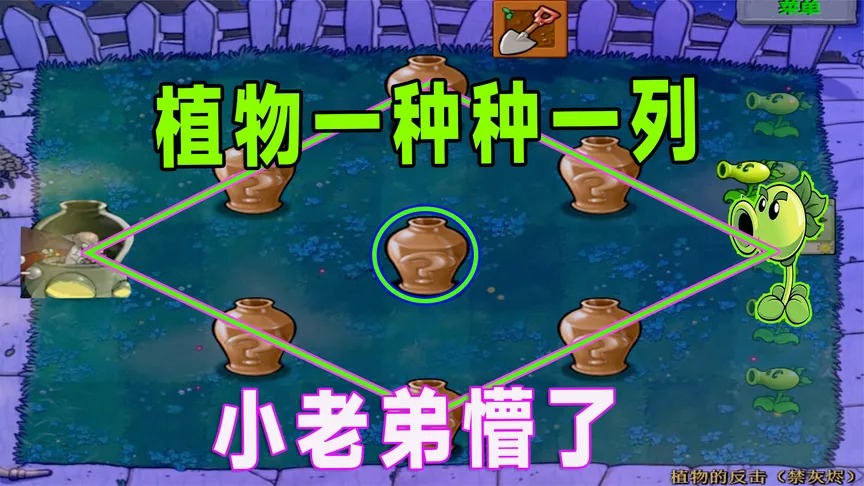 植物大战僵尸:植物一种种5个,僵王:它们作弊