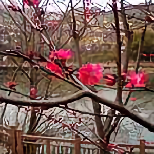 十里桃芲 