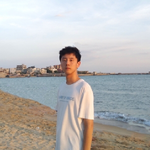 王子鸿Wzh 