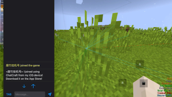 aternos开服实现假人挂机。