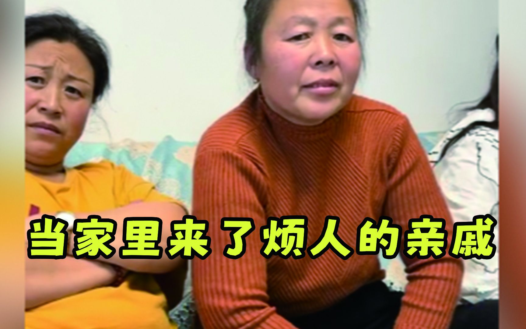 当家里来了烦人的亲戚:狗拿耗子多管闲事,怼到人哑口无言