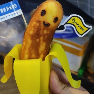 维稳的天启守护者 