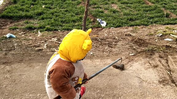 宝宝春节假期第一天出来撒欢儿