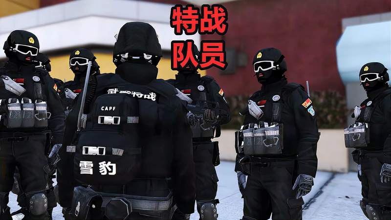 警察任务模拟器 雪豹突击队 消灭黑帮成员 迅速解决