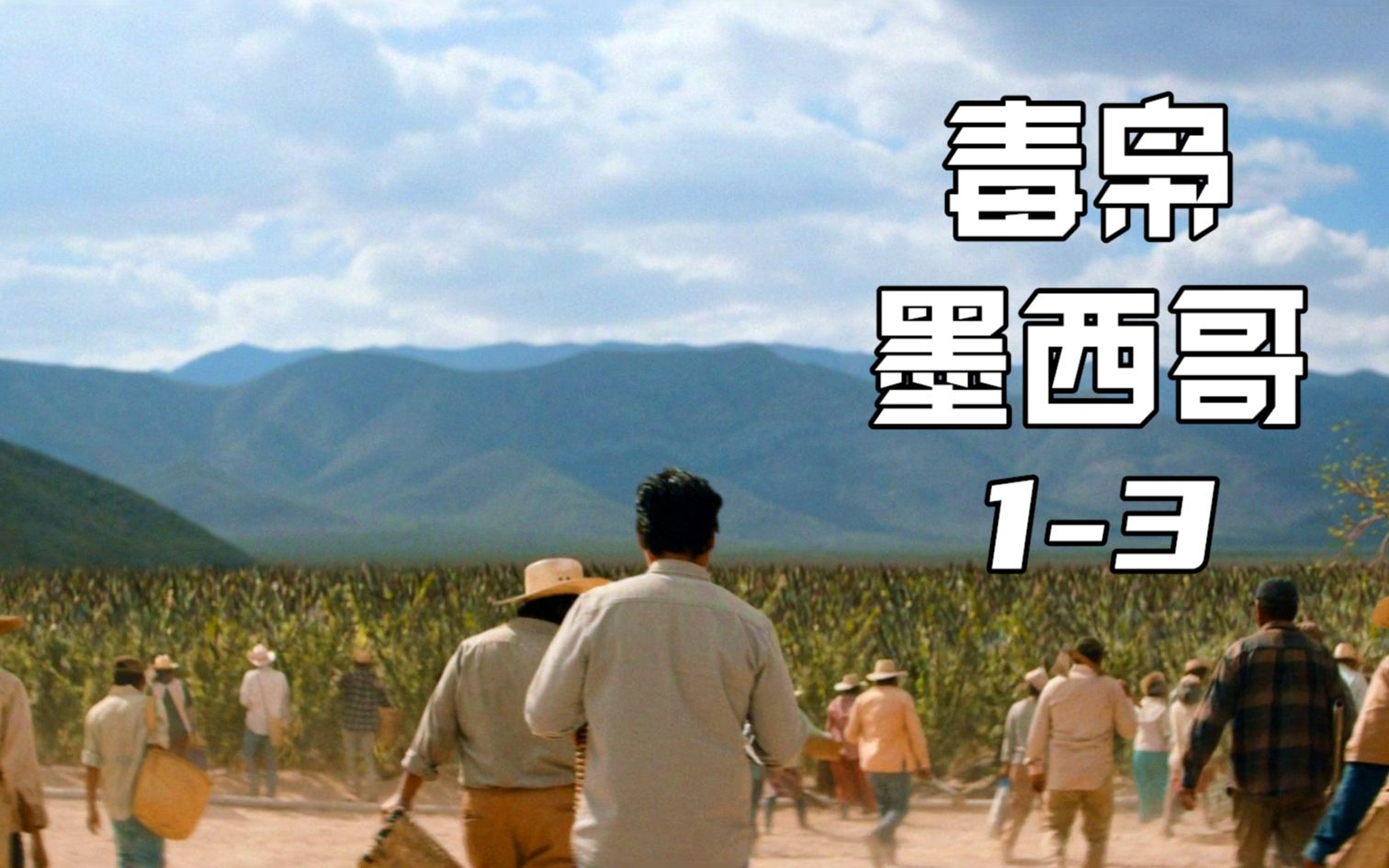 毒枭墨西哥1-3:缉毒探员卧底贩毒集团,毒品种植园一眼看不到头