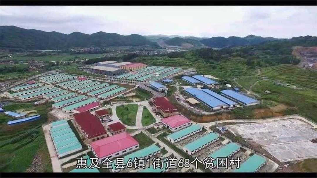 南方最大的黑山羊养殖基地,农业农村部山羊育种标准化示范场!