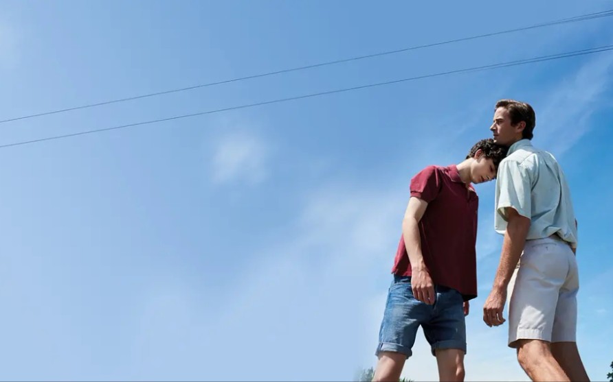 《请以你的名字呼唤我》片段