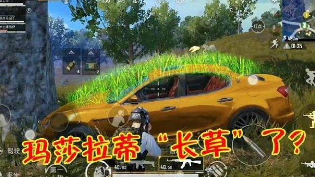 和平精英:玩家驾驶玛莎拉蒂切换第1视角,车上"长草"了