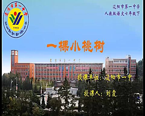 20人教部编版语文七下《18一棵小桃树》辽宁省省级优课